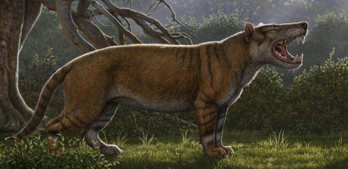 Paléontologie – Un «lion» de 1 500 kg régnait sur l'Afrique - L'essentiel