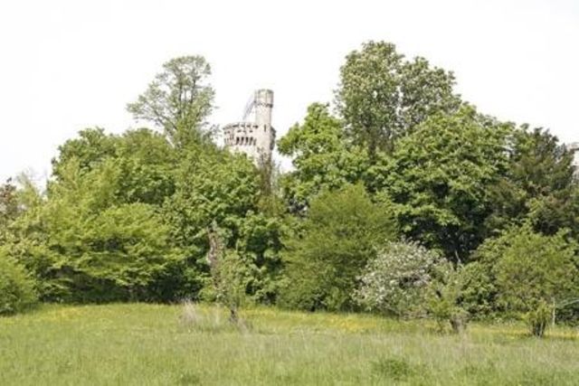 Berne juge le CEVA écologiquement correct