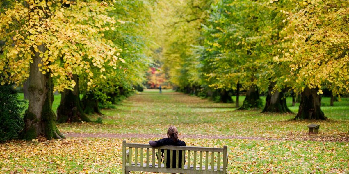 Einsamkeit: Wie wir lernen, allein und erfüllt zu leben