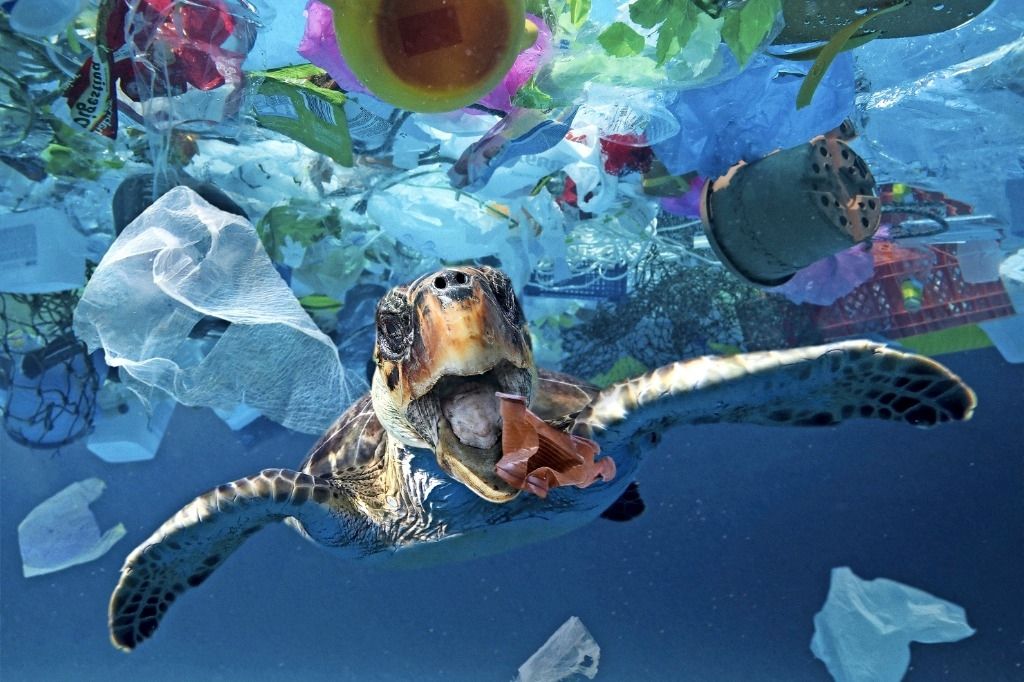Le plastique a envahi notre planète | 24 heures
