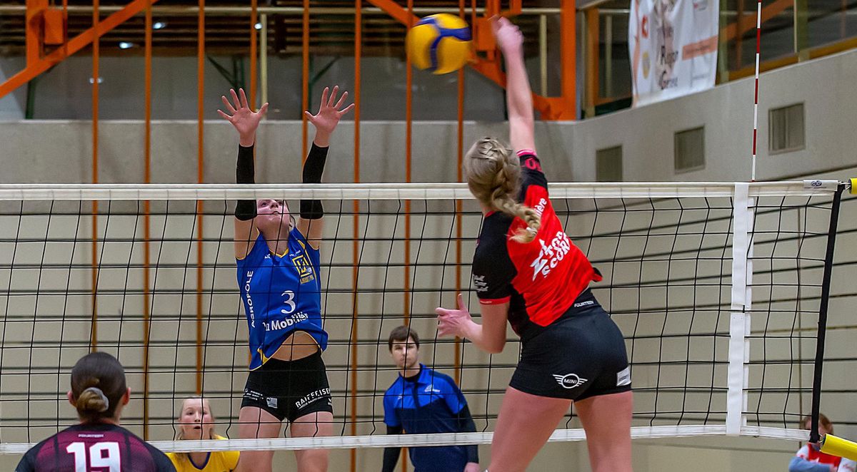 Volleyball: Face au champion, Genève Volley sort la tête haute ...