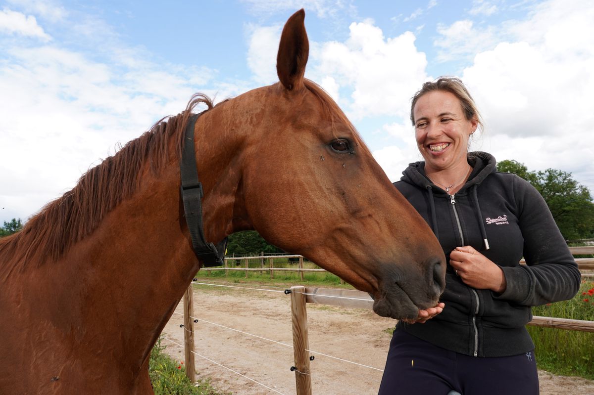 Animaux: l’été, un cheval peut boire 60 L d’eau par jour | Tribune de ...
