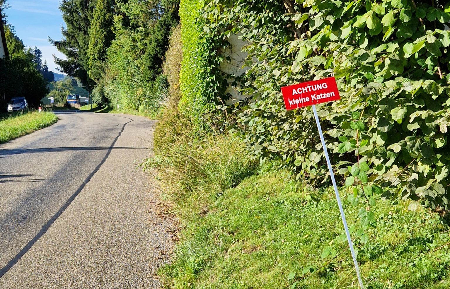 Kolumne Landluft: Da guckt selbst das Gewohnheitstier | Tages-Anzeiger