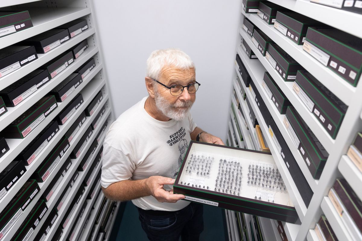 Sur une scène de crime, les insectes sont des experts | 24 heures