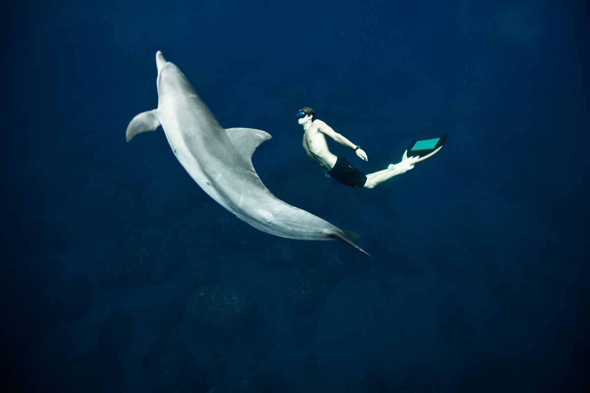 Une incroyable plongée avec l’apnéiste Guillaume Néry | 24 heures