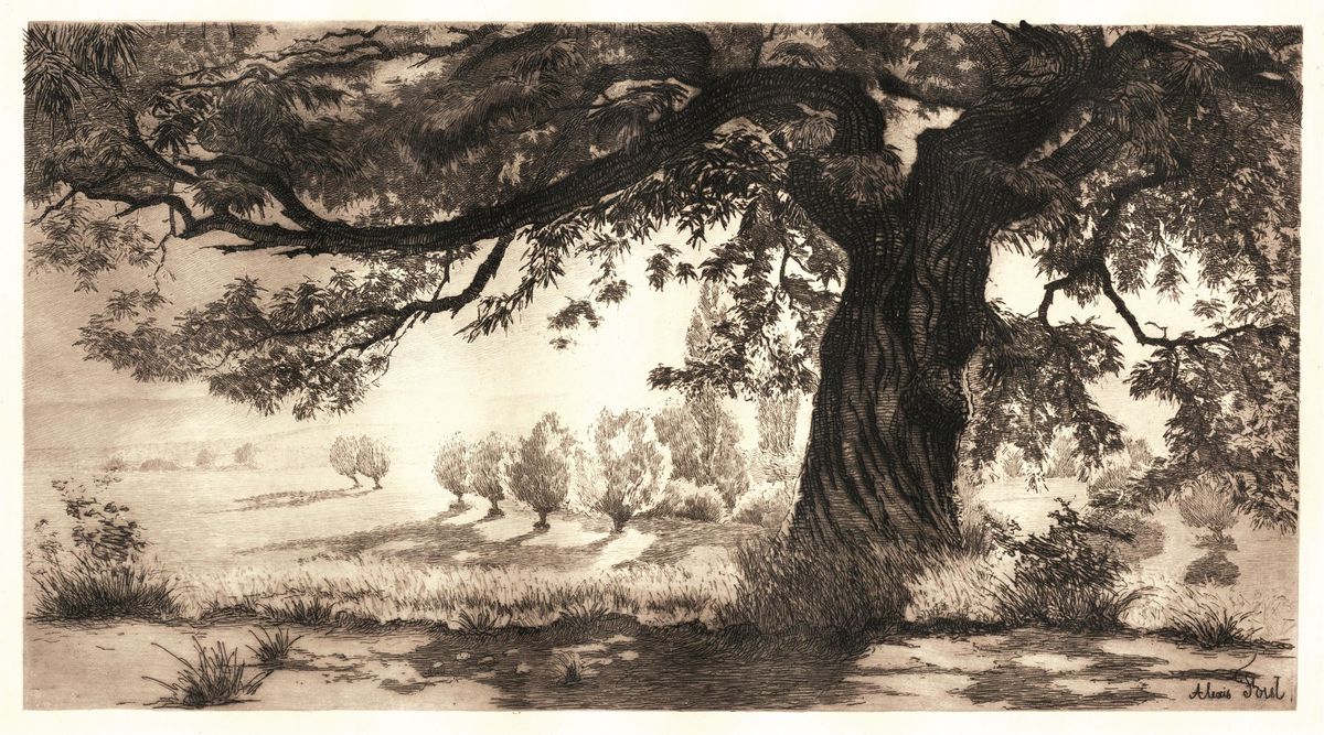 Hommage à Alexis Forel: Le chimiste devenu graveur s’en est allé il y a ...