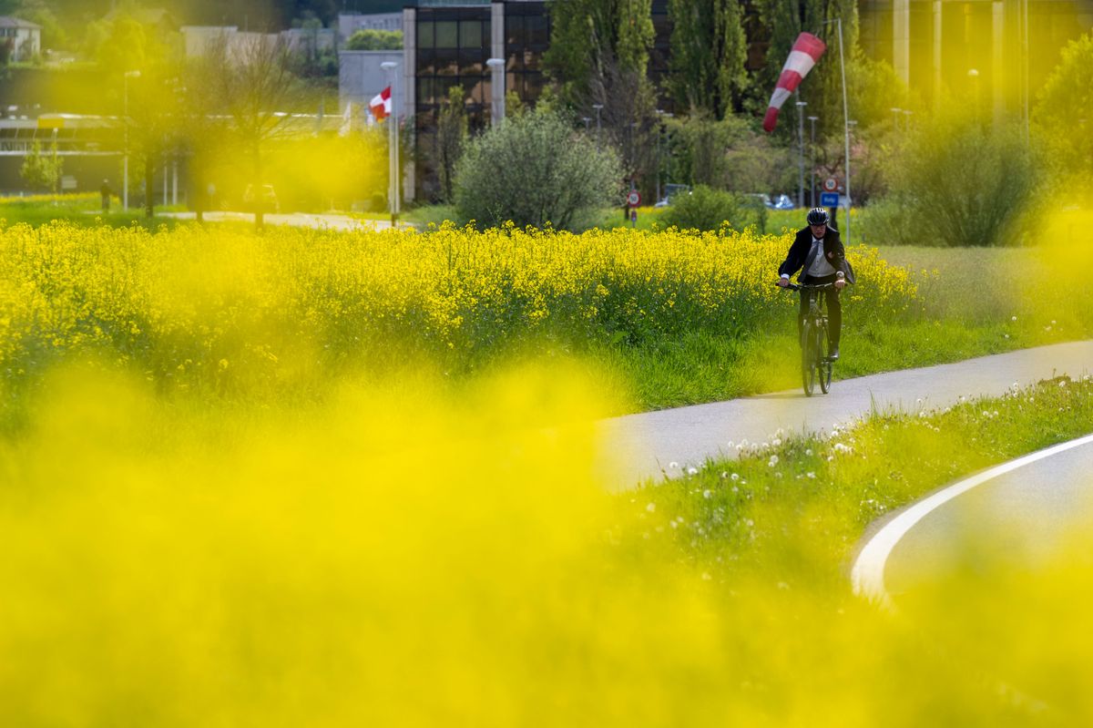 Führungslos in Gemeindewahl: In der SVP-Hochburg Belp herrscht ...