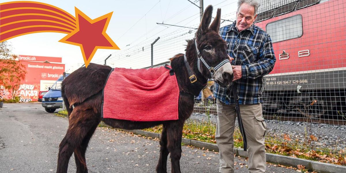 Cappuccino ist kein dummer Esel | Tages-Anzeiger