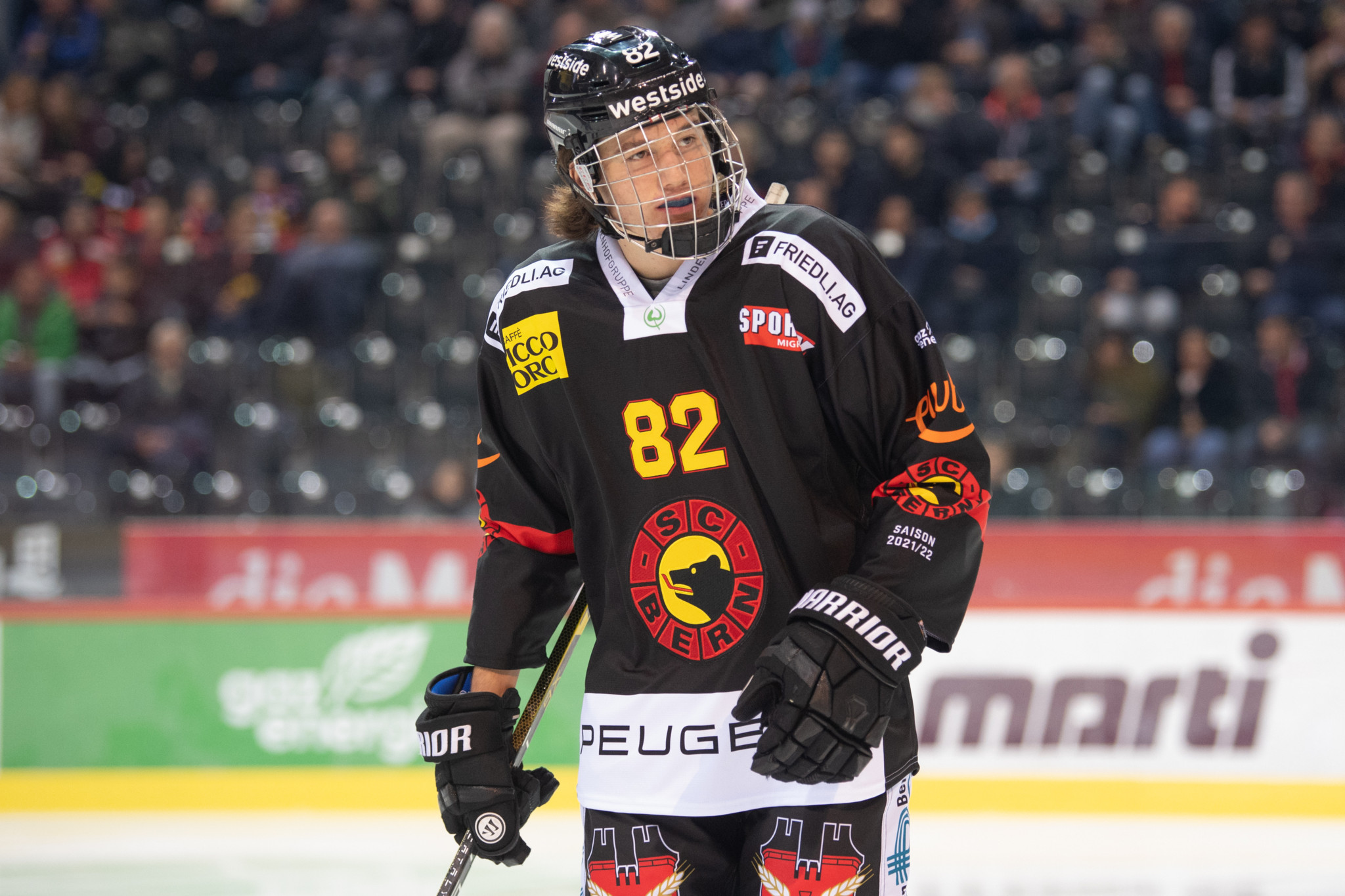 SC Bern: Ehemalige SCB-Junioren suchten ihr Glück anderswo