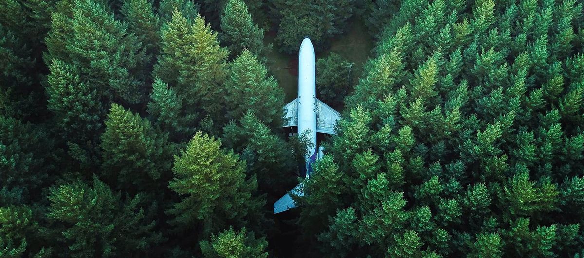 Beim Flug CO₂ kompensieren: Mallorca, Athen, Los Angeles, sechs Beispiele in Grafiken | Berner ...