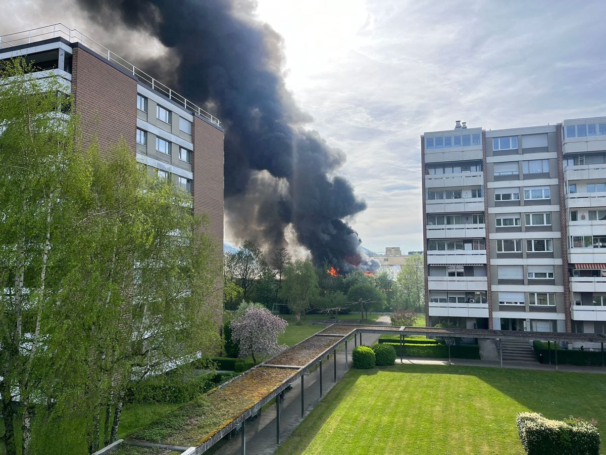 «91-jährige Geschichte zerstört»: Die Daig-Affe verlieren beim ...