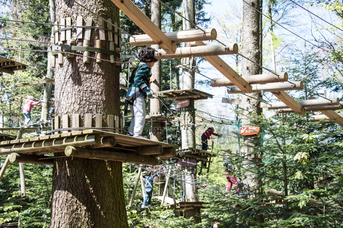 Signal de Bougy: Le Parc Aventure lutte contre le bostryche | 24 heures