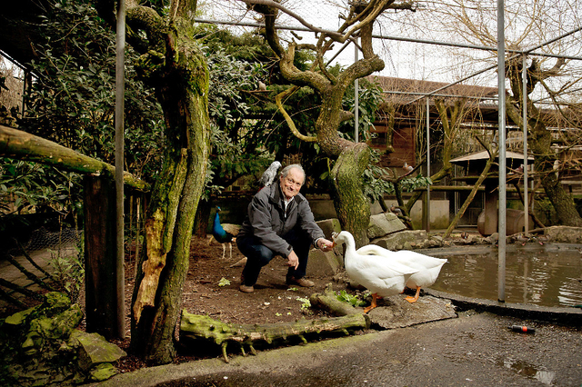 1991 Le Parc animalier de Pierre Challandes ouvre à Bellevue
