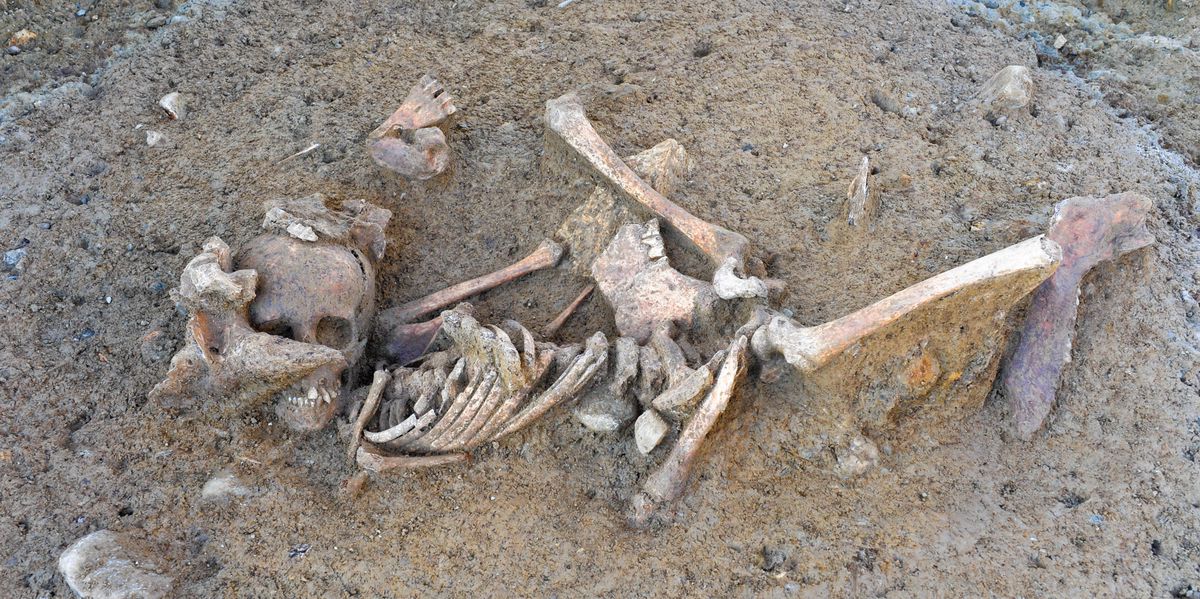 Bokep sotewe bocil rita looked pretty with gorgeous eyes,