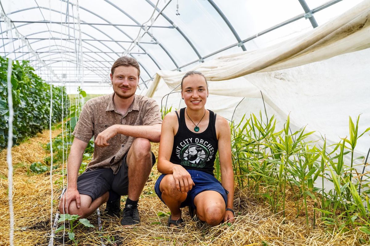 Exotische Spezialkultur: Wenn der Ingwer in Lindau statt in den Tropen ...