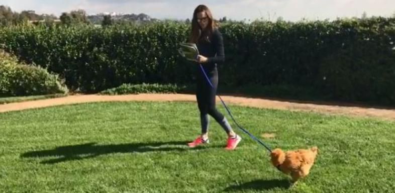 Rührendes Video – Jennifer Garner trauert um verstorbenes Huhn - L ...