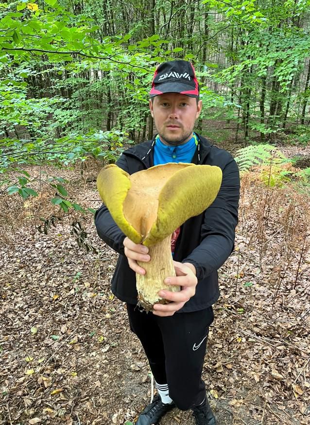 Au Luxembourg: Il découvre un cèpe de 2,5 kg à deux pas du Findel - L ...