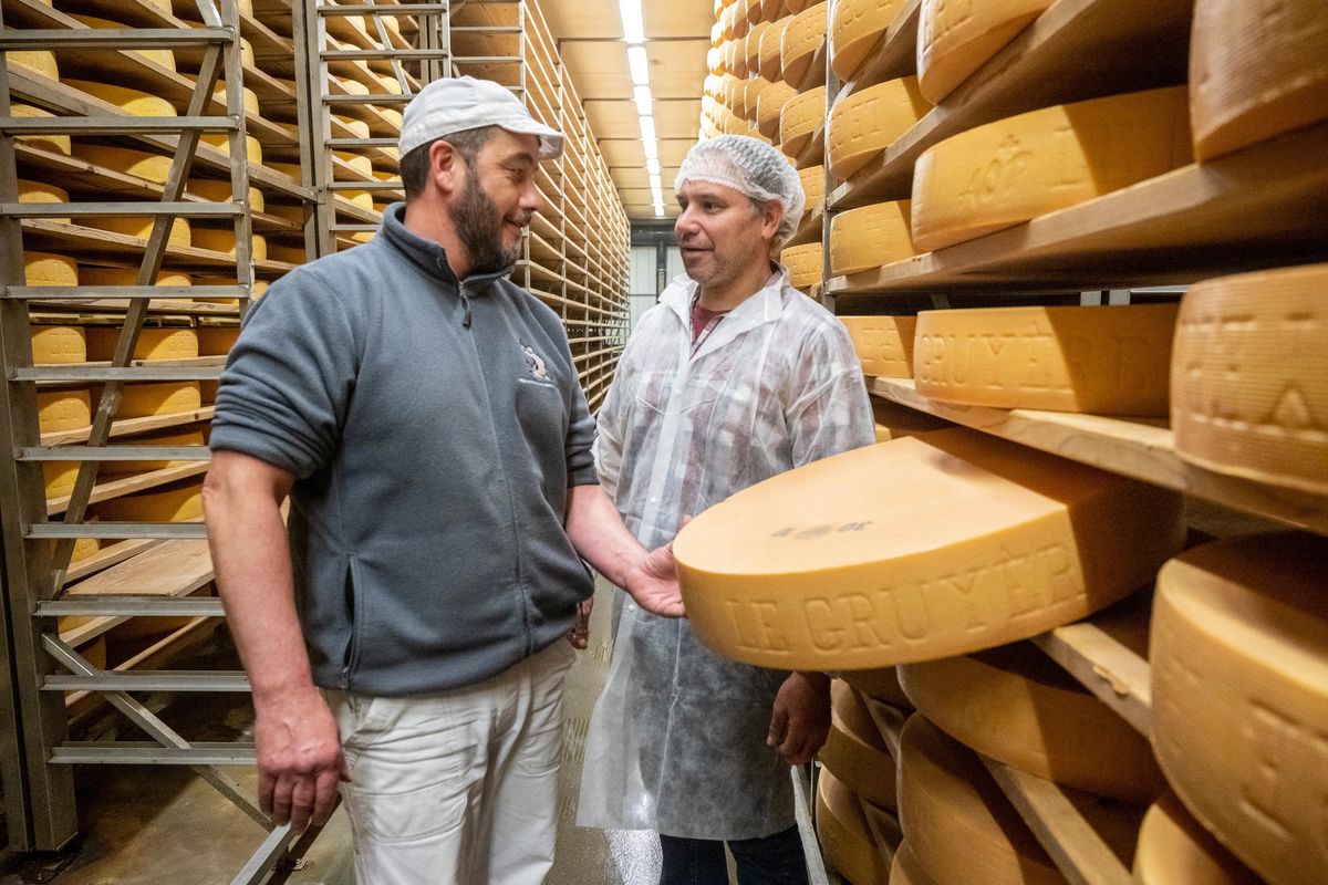 Production laitière: Le lait, ce produit de base de plus en plus ...