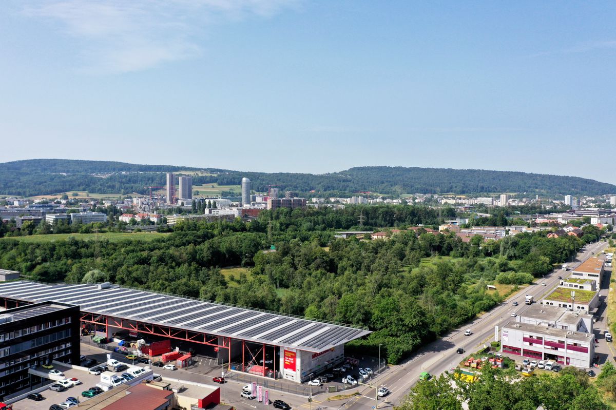 Stadt Wallisellen: Im Naturschutzgebiet werden Bäume gefällt | Zürcher ...
