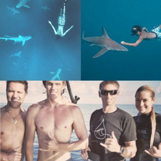 La jolie histoire: Attaqué par des requins, il se bat pour leur ...