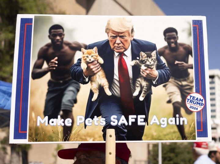 US-Wahlkampf: Kamala Harris zwischen Inszenierung und Illusion | Tages ...