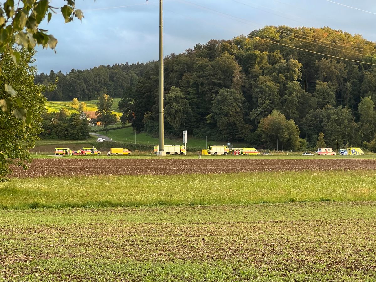 Glattfelden: Zwei Verletzte bei Frontalkollision in Zweidlen | Tages ...