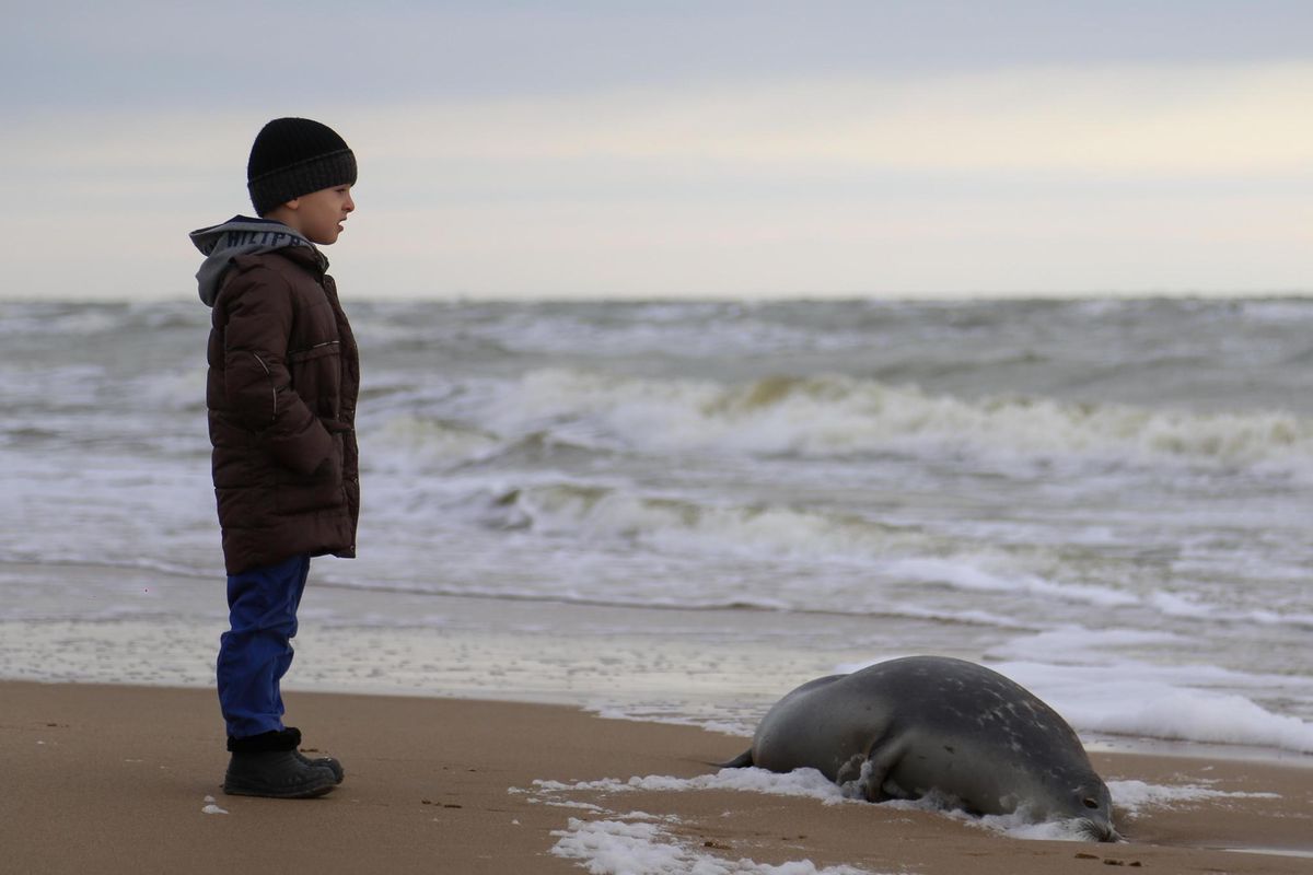 Réchauffement climatique – La mer Caspienne se meurt et il est sans ...