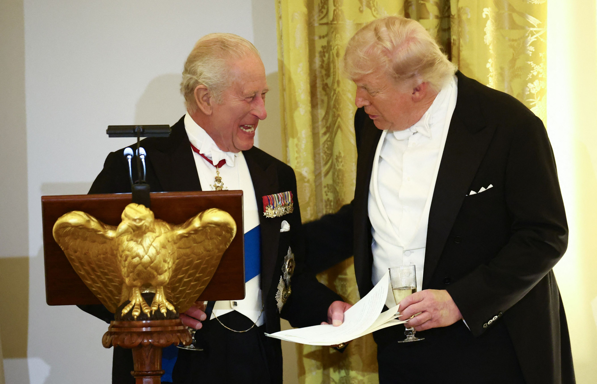 König Charles III: Möwe trifft Monarchen in Nordirland