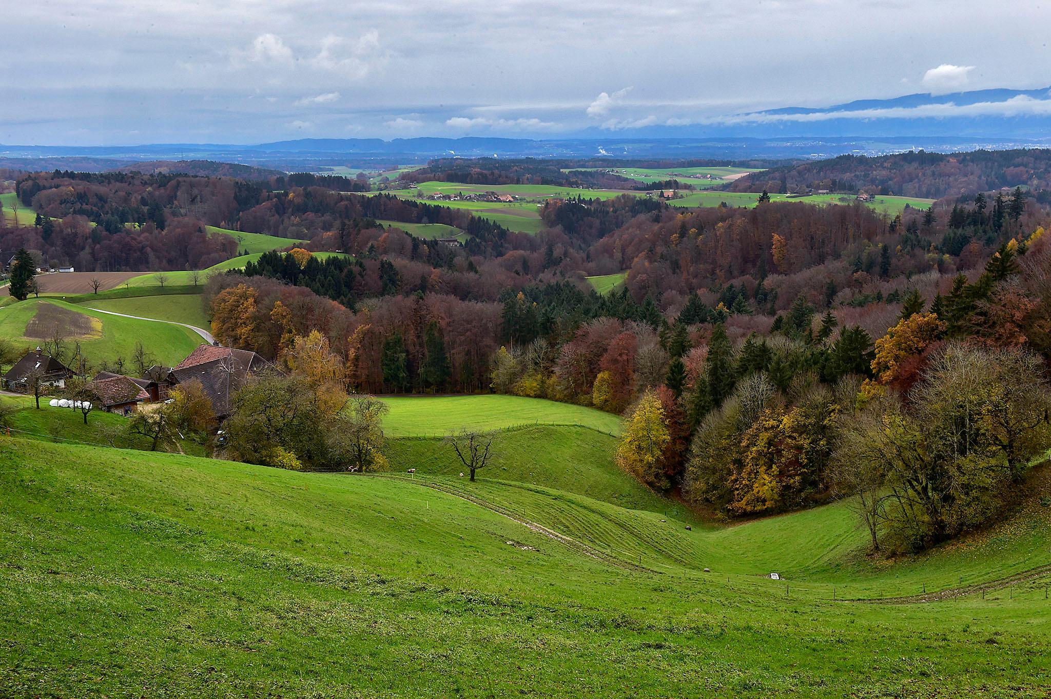 Wo Emmental und Oberaargau schwächeln: Hügliges Hinterland kämpft gegen ...