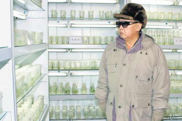 Die Geschäfte des Herrn Kim | Basler Zeitung