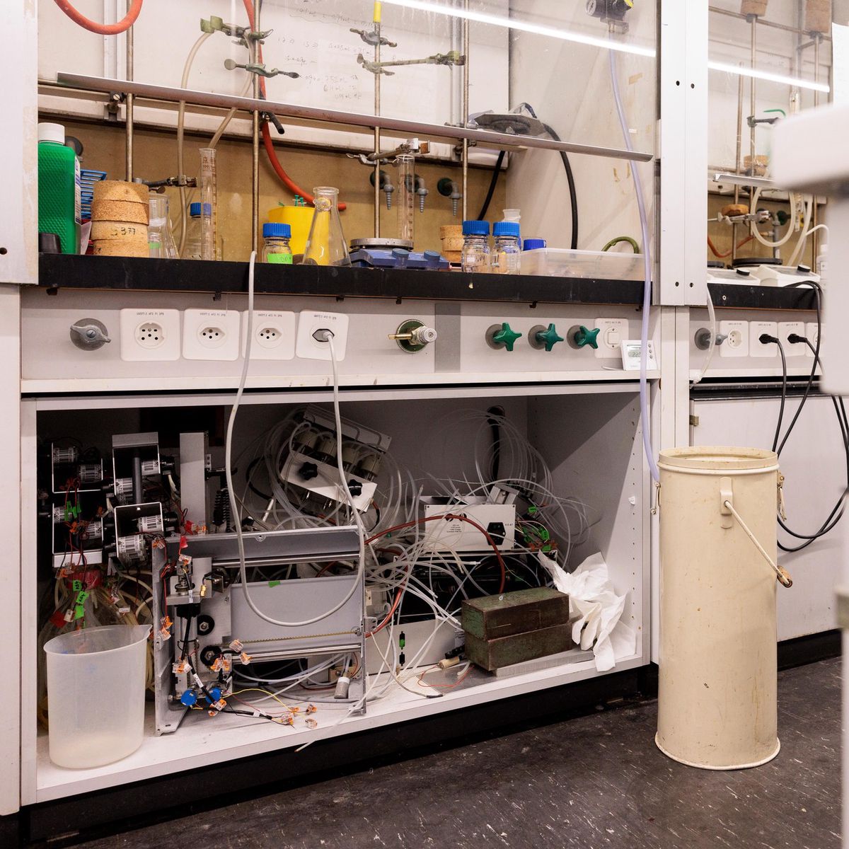 Bern | Thuner Tagblatt