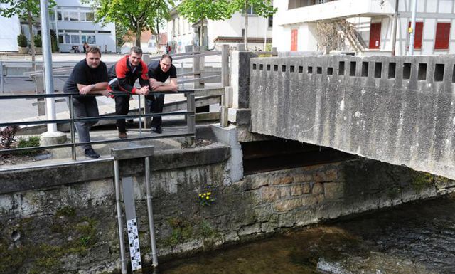 Landwirte als Prognostiker im Einsatz | Berner Zeitung