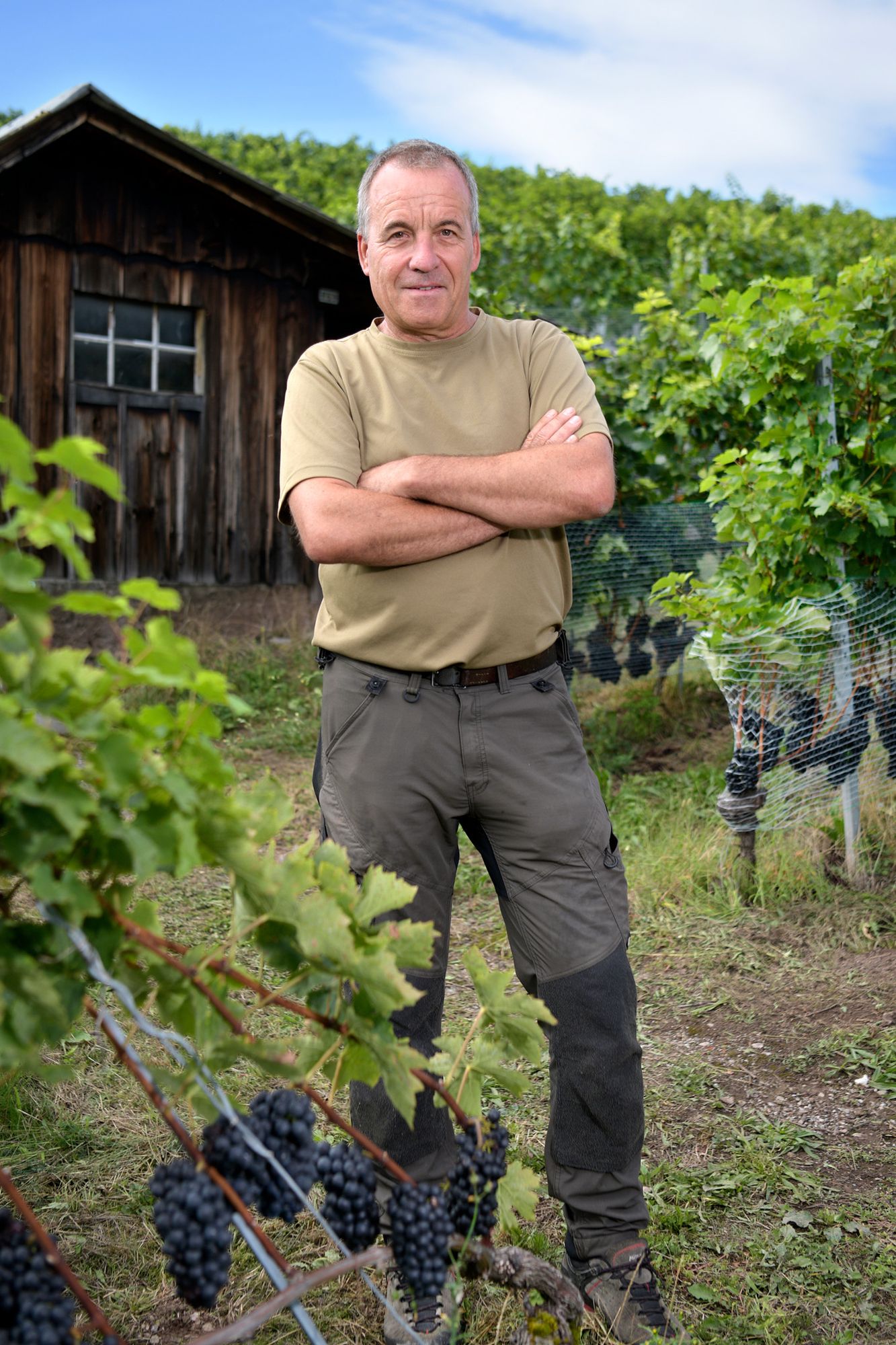 Vignes vaudoises gelées: la lutte des vignerons détaillée par François ...