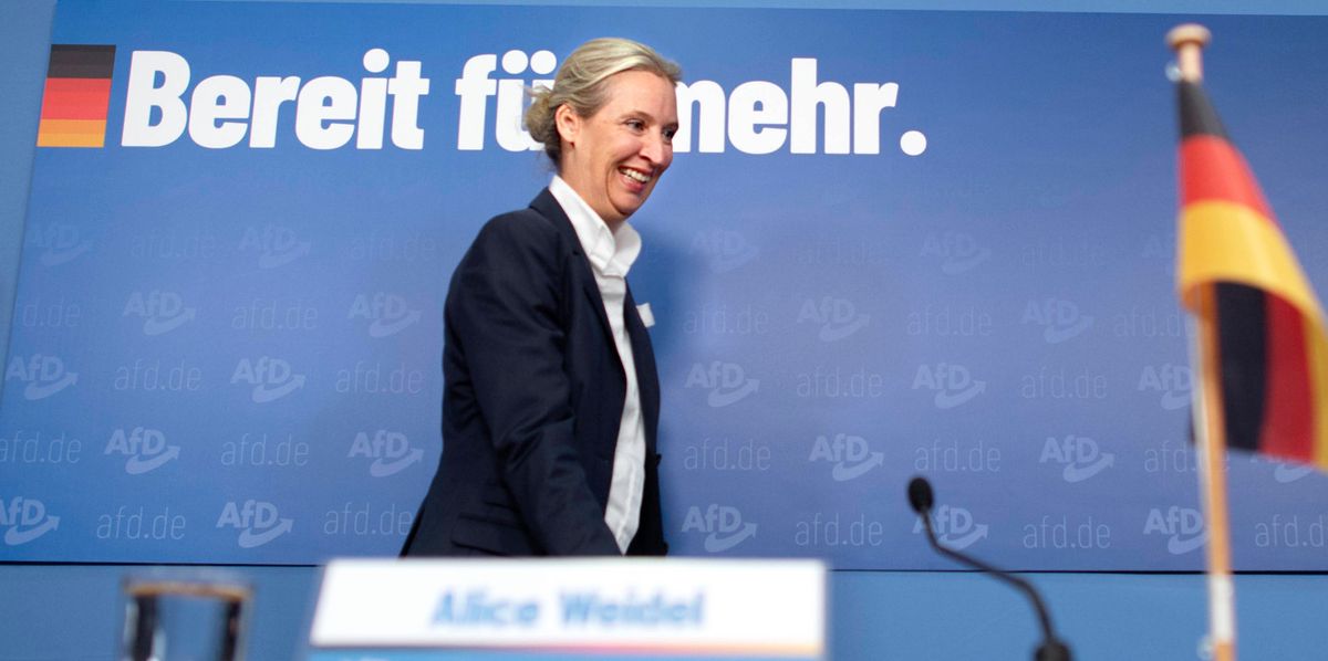 AfD will EU-Austritt: Ökonomen von «Dexit»-Idee entsetzt | Tages-Anzeiger