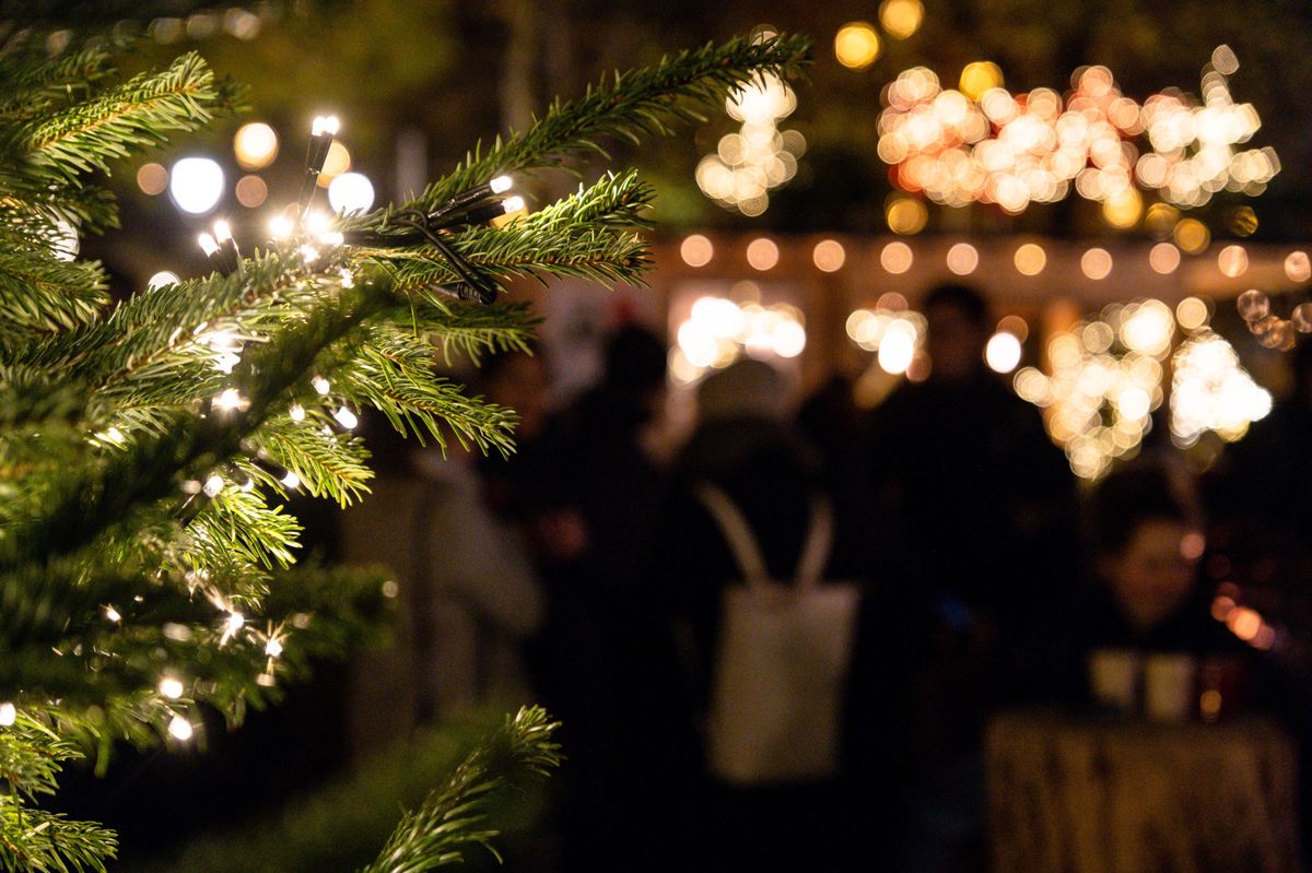 Berner Podcast «Gesprächsstoff»: Warum diese drei Menschen aus Bern ...