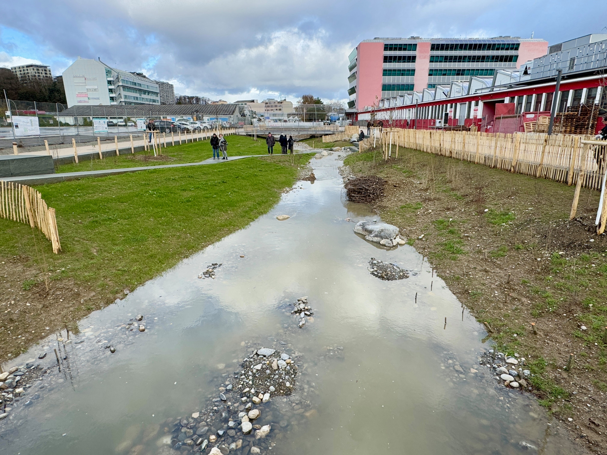 Drize: la rivière genevoise renaît après septante ans sous béton