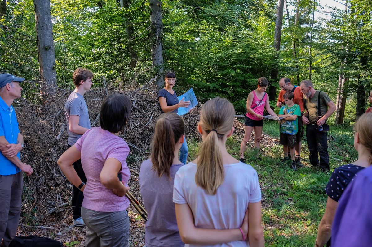 Eine Zeitreise auf Schusters Rappen | Tages-Anzeiger