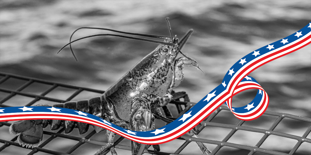 USA-Podcast «Alles klar, Amerika?»: Was der Hummer in Maine mit Trump ...