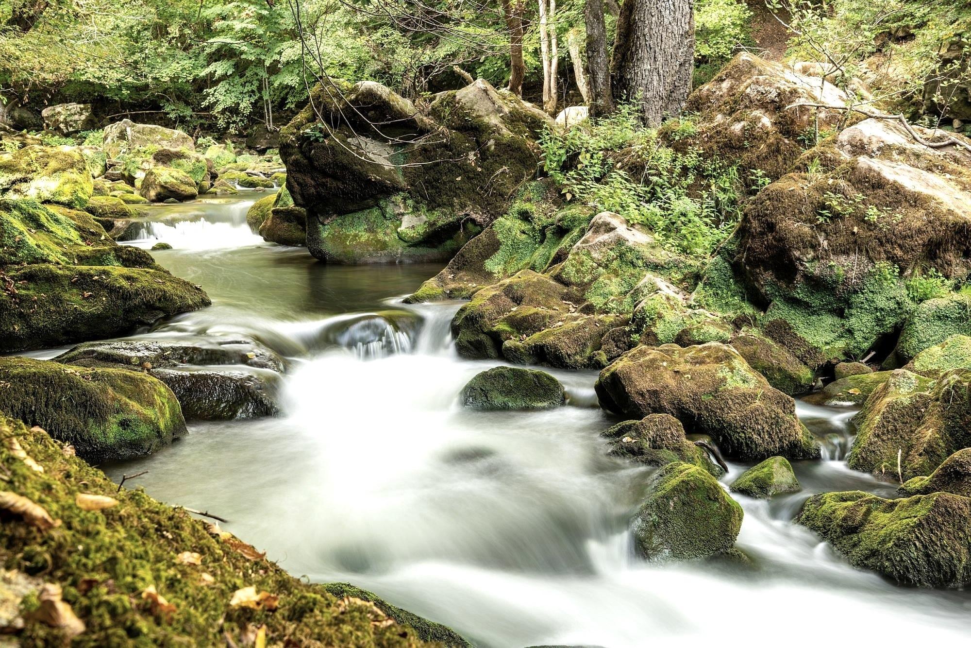 Irrel: Neue 110-Meter-Hängebrücke ist nach Flutkatastrophe in der ...
