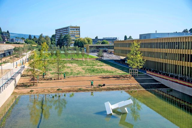 L'école du Cossy, de l'or en barre pour Nyon | 24 heures