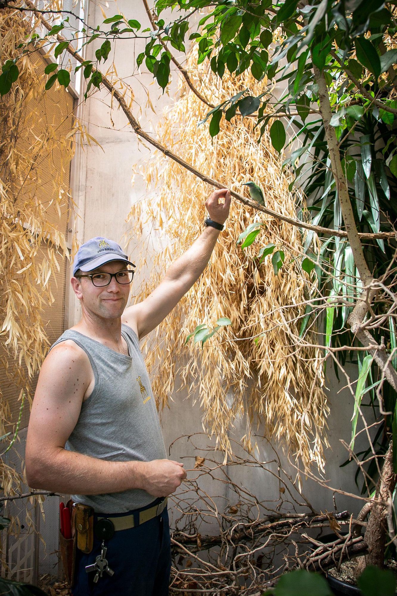 Im Zolli-Gehege: Wenn sich zwei Vögel nicht mögen, dann hört er das ...