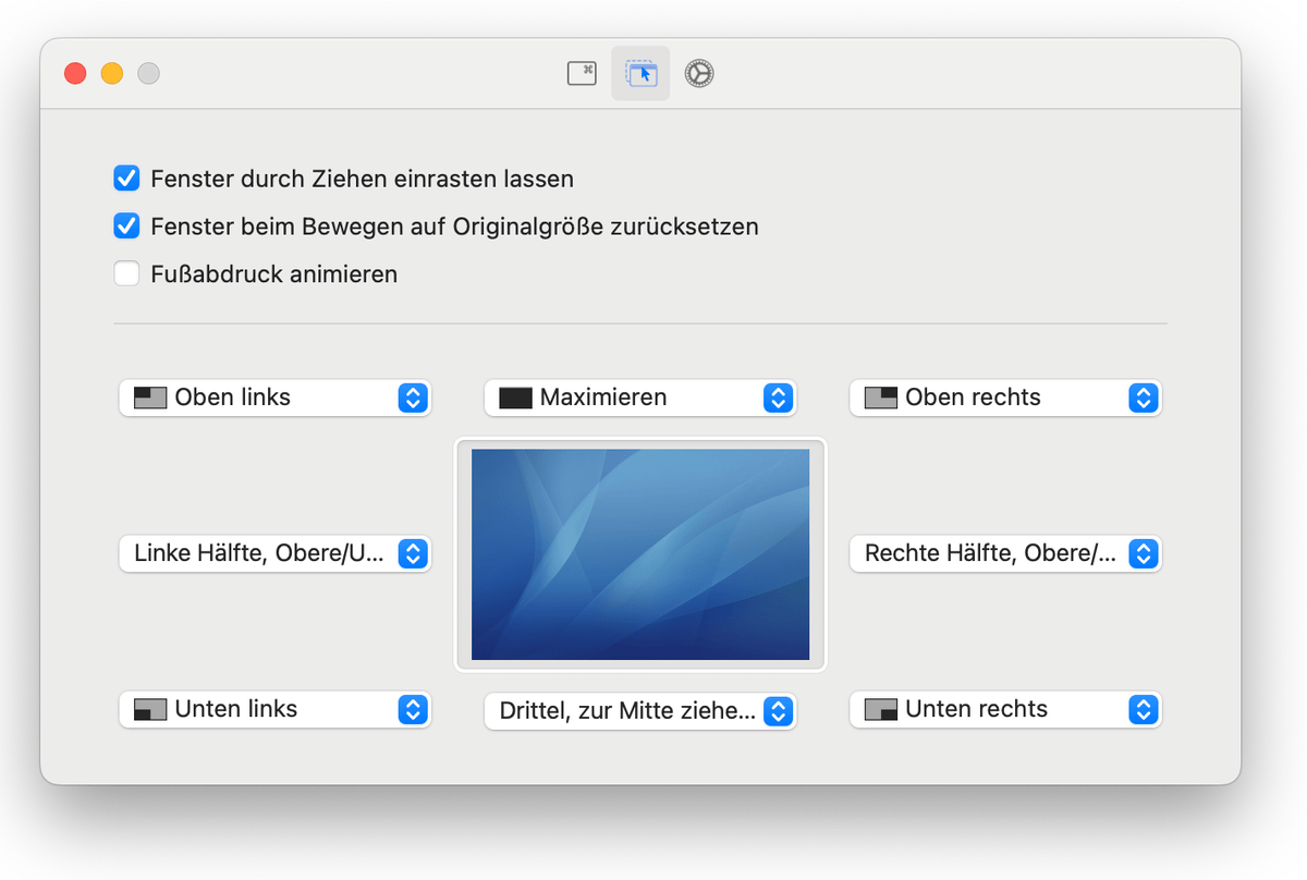 Monstermonitore: Wann ist gross zu gross? | Der Bund