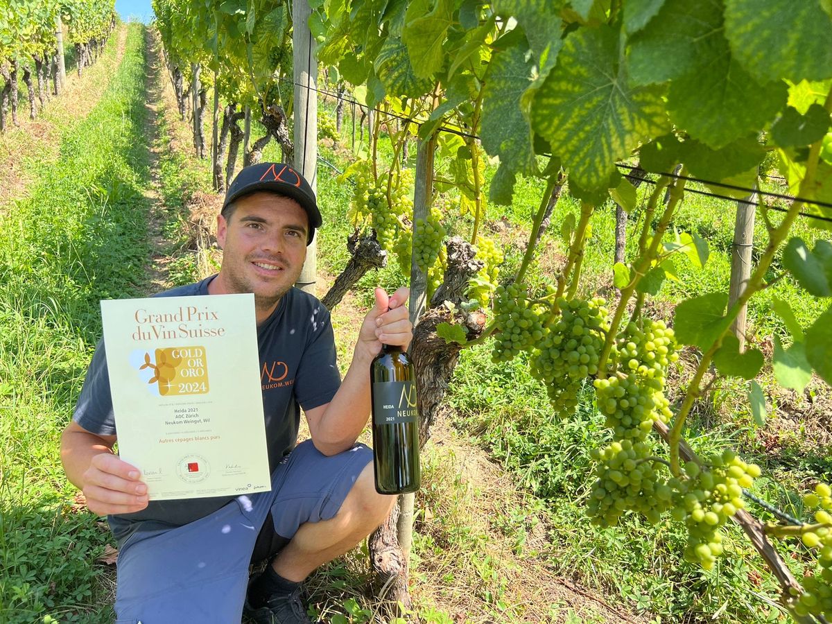 Ausgezeichneter Wein : Ein Walliser aus dem Rafzerfeld gewinnt Gold ...