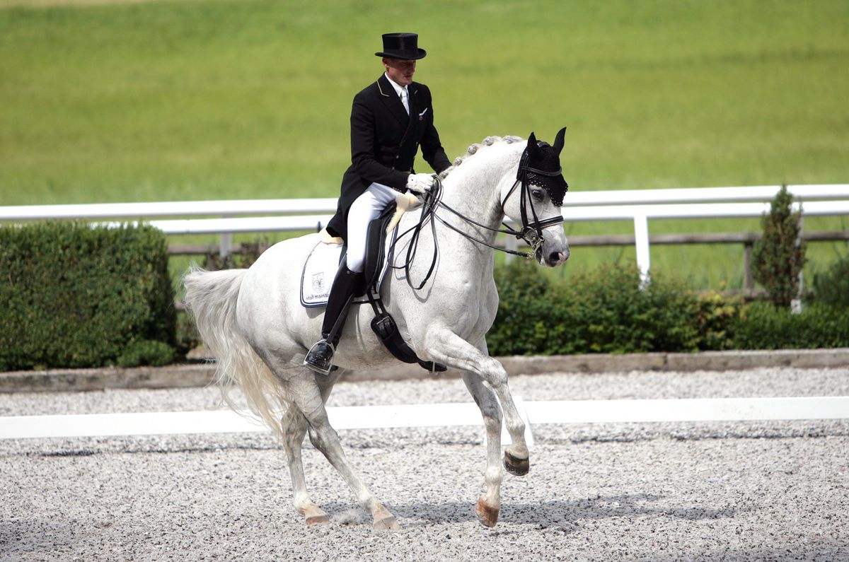 Zurich Equestrian Masters Dielsdorf: Zwei Wochenenden mit Lassowerfen ...
