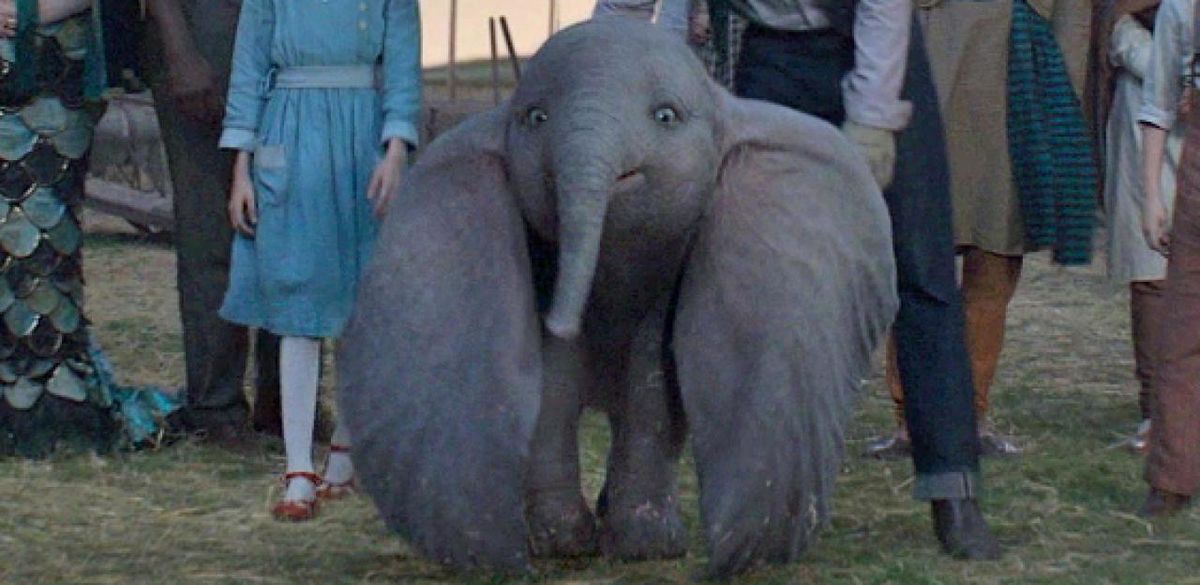 Disney-Realverfilmungen – So herzig sieht Dumbo in echt aus - L'essentiel