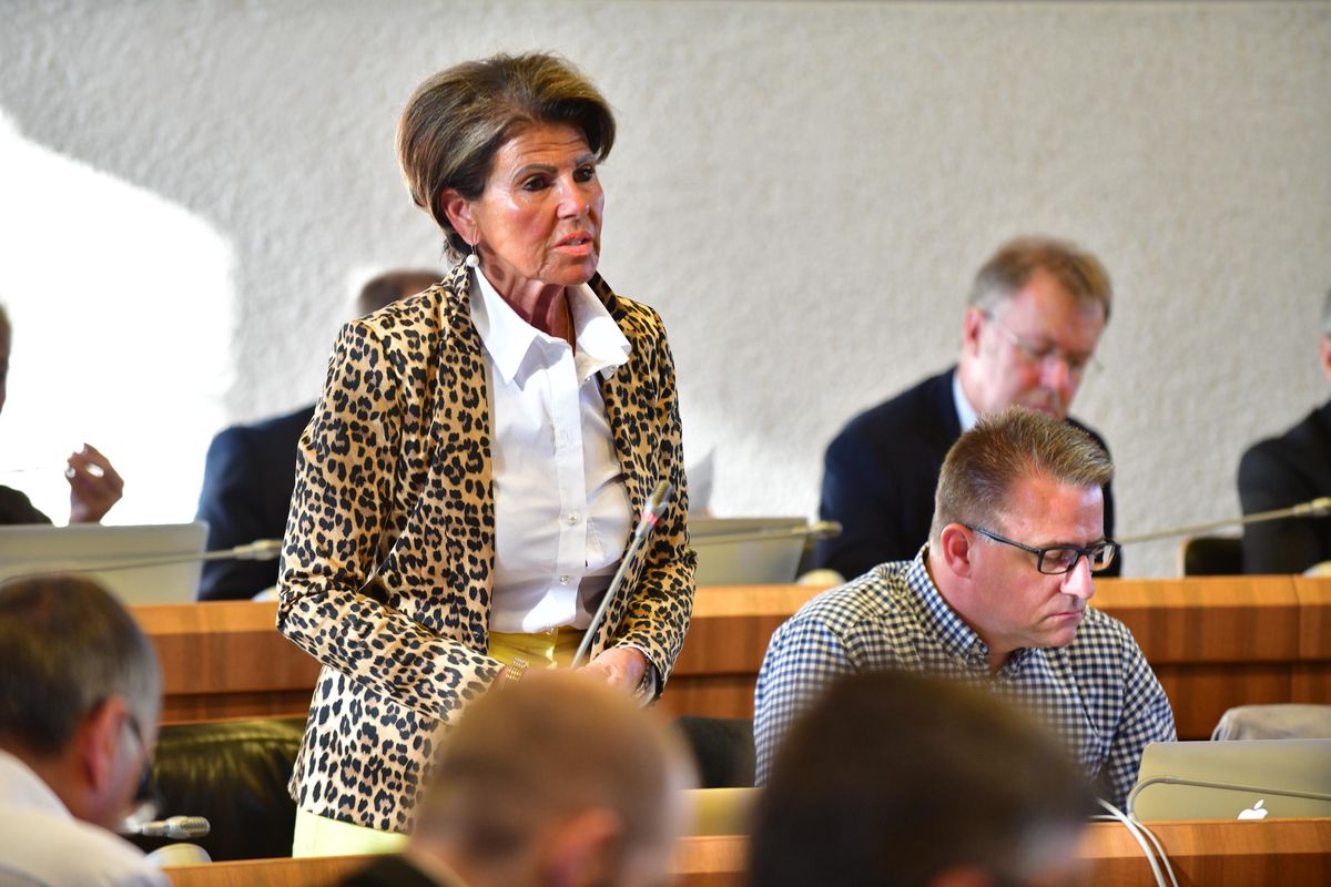 Sprachdefizite in Baselbieter Schulen: Landrat überprüft ...