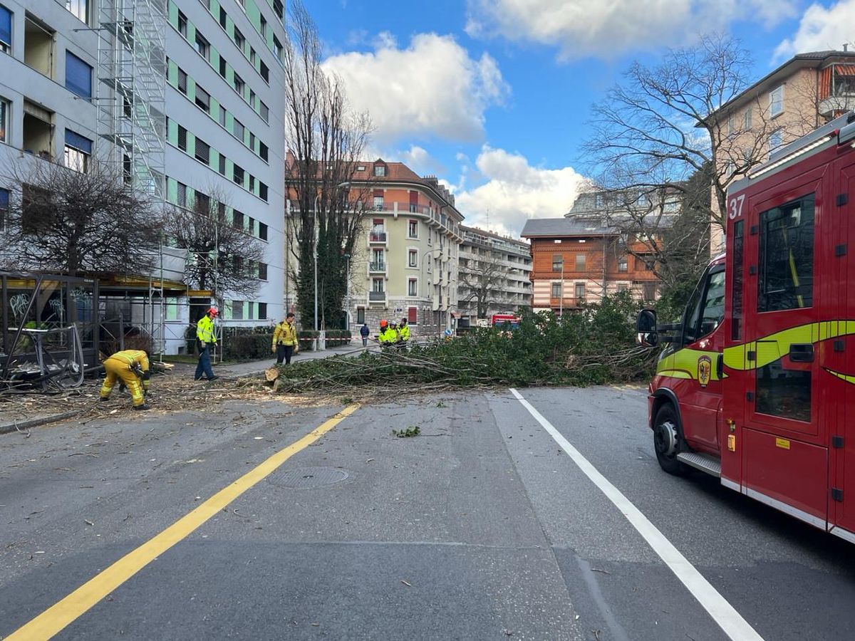 Rafales de vent à Genève: La bise provoque 70 interventions ce week-end ...