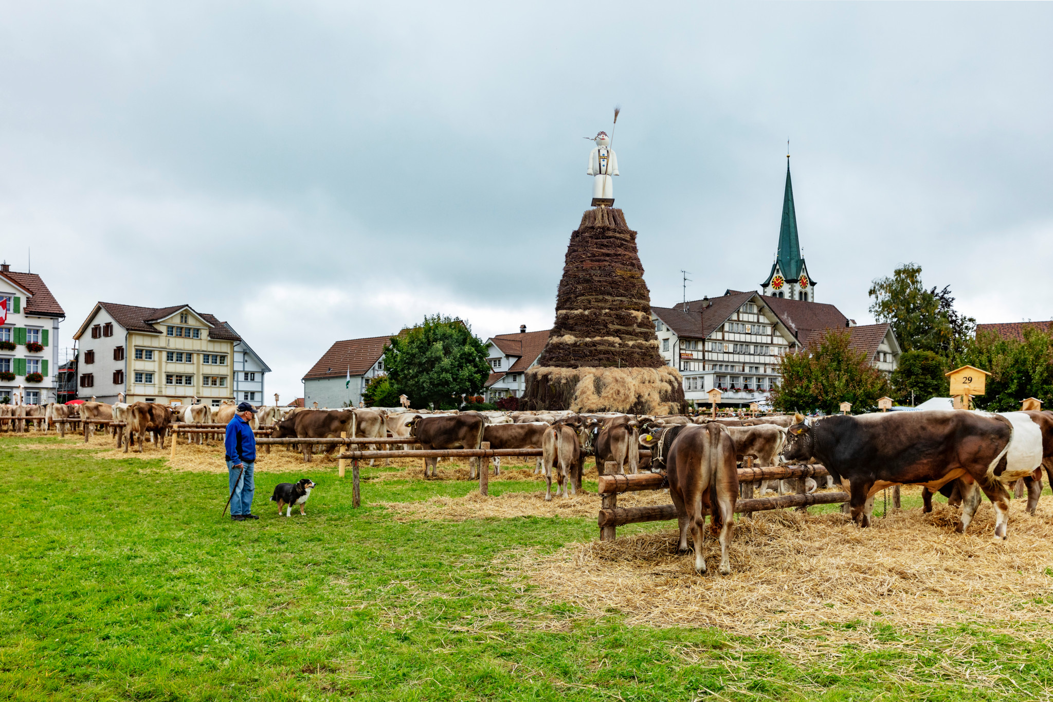 Sechseläuten Zürich: Der Böögg wird wohl ein Appenzeller | Tages-Anzeiger