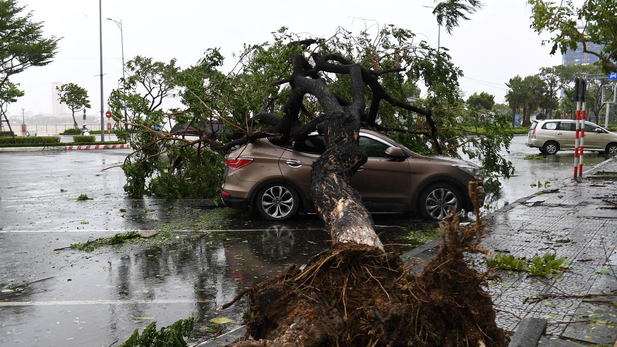 Asie: Le typhon Noru touche terre au Vietnam - L'essentiel