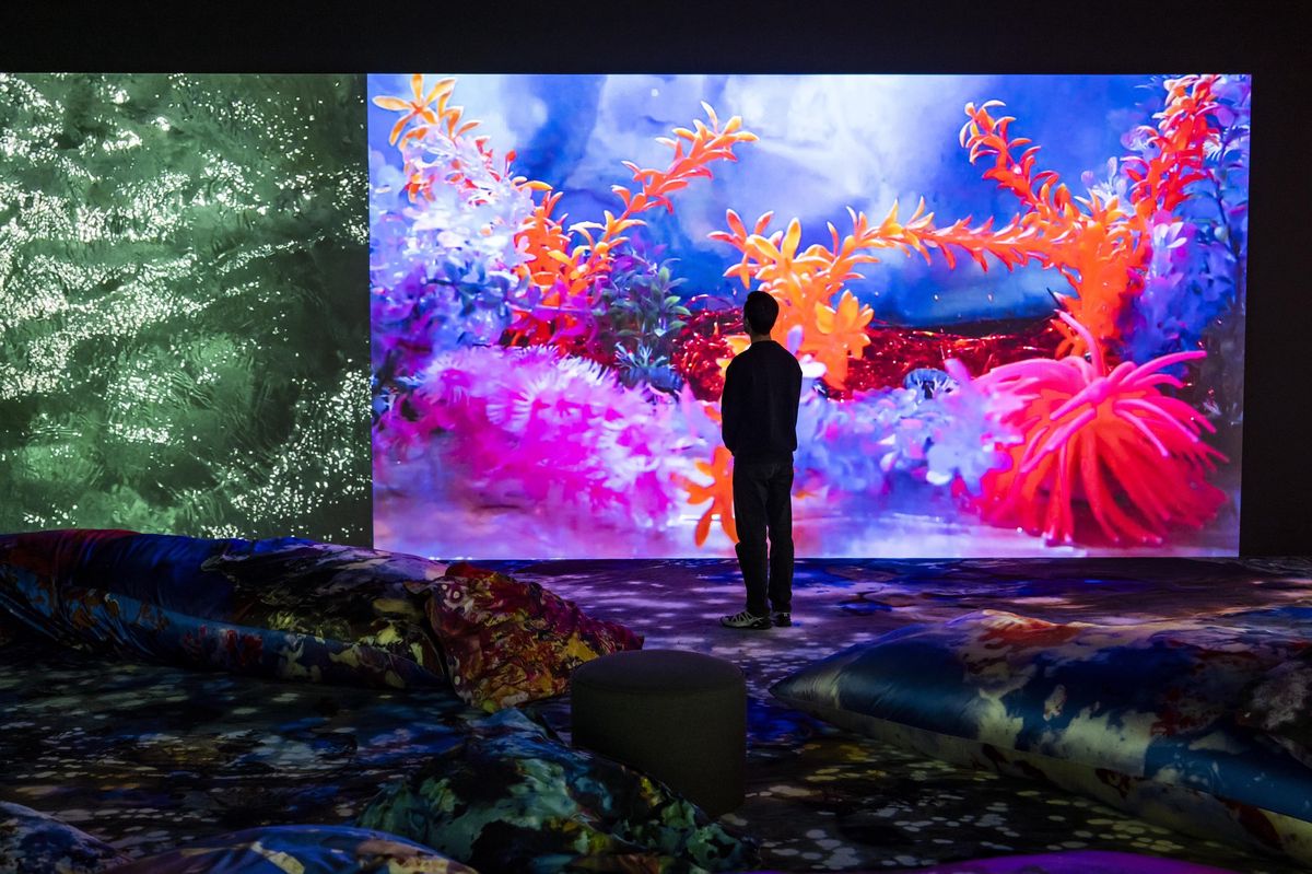 Art: Maya Rochat inonde Photo Élysée de sensations fortes | Tribune de ...